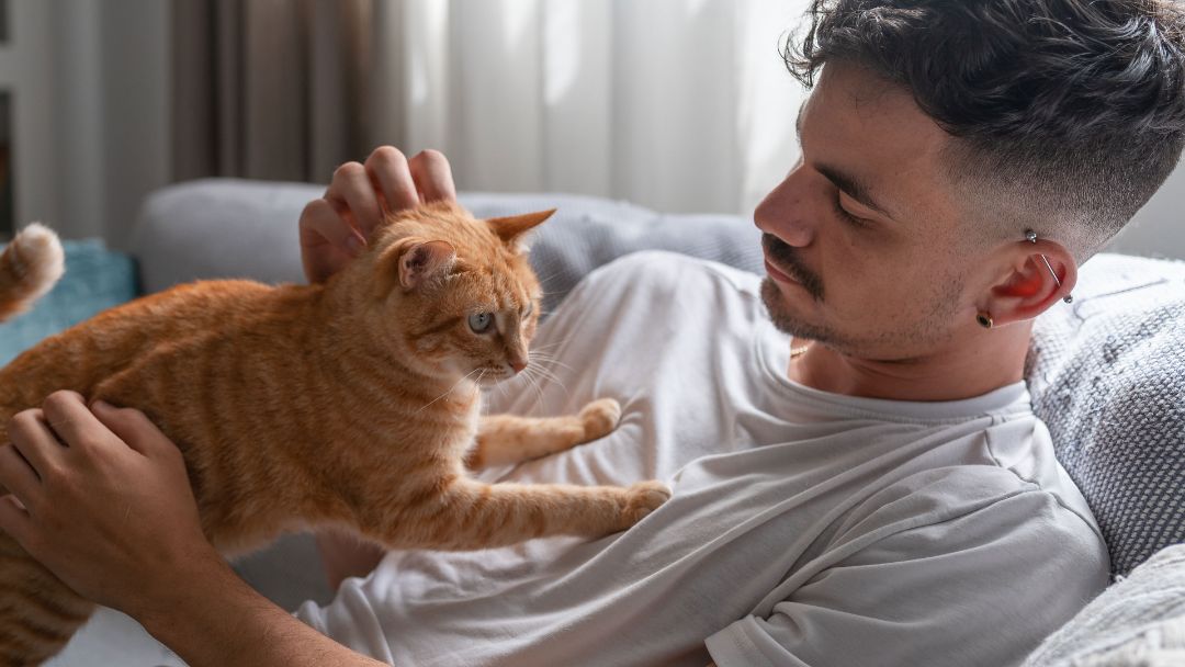 Dogs, cats, whales & other animals show kindness | Banfield®