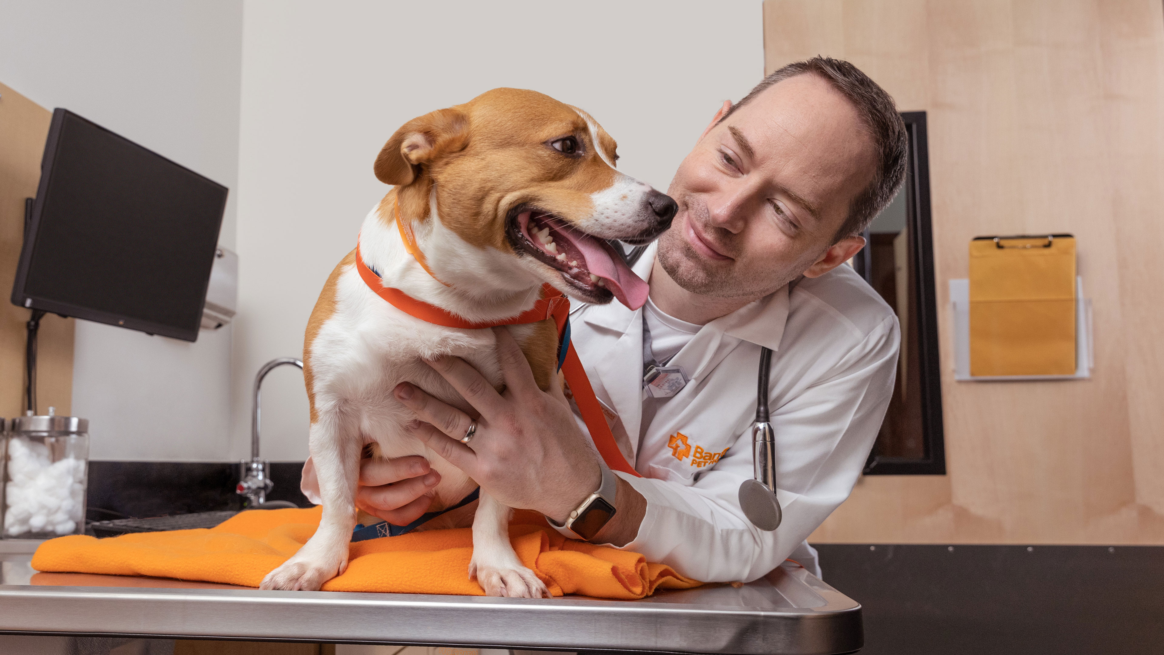 Top 5 blog posts of 2021 | Banfield Pet Hospital®