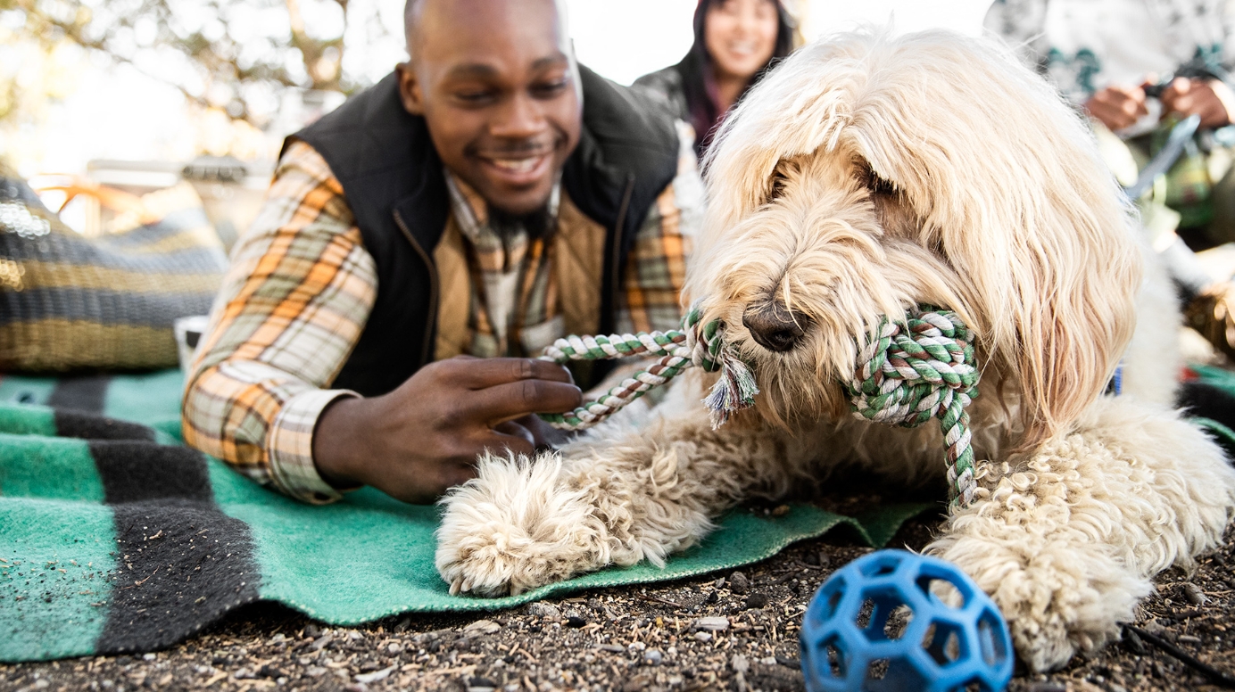Veterinarians and quality petcare | Banfield Pet Hospital®