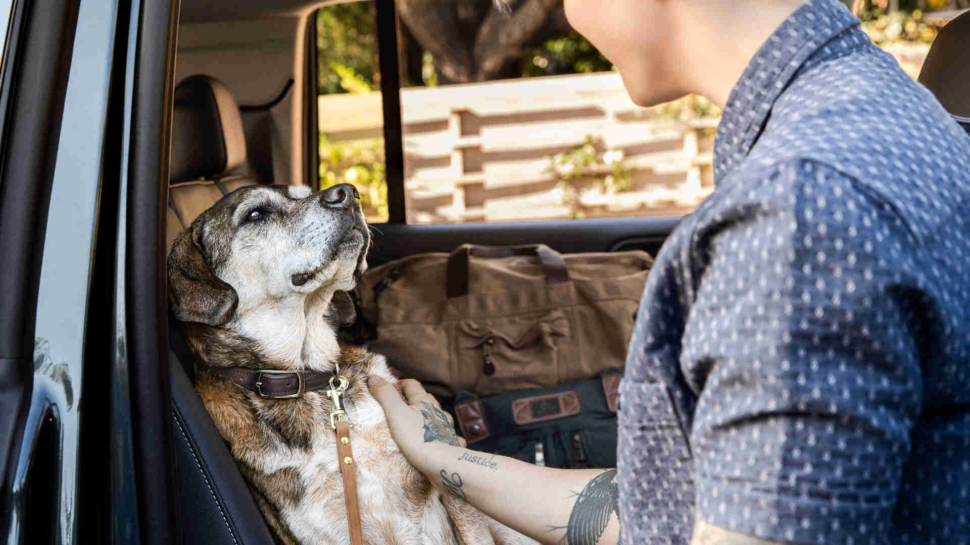 Veterinarians and quality petcare | Banfield Pet Hospital®