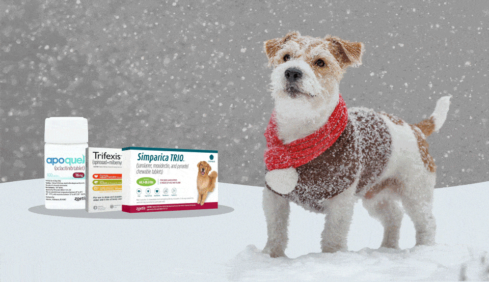 Veterinarians and quality petcare | Banfield Pet Hospital®