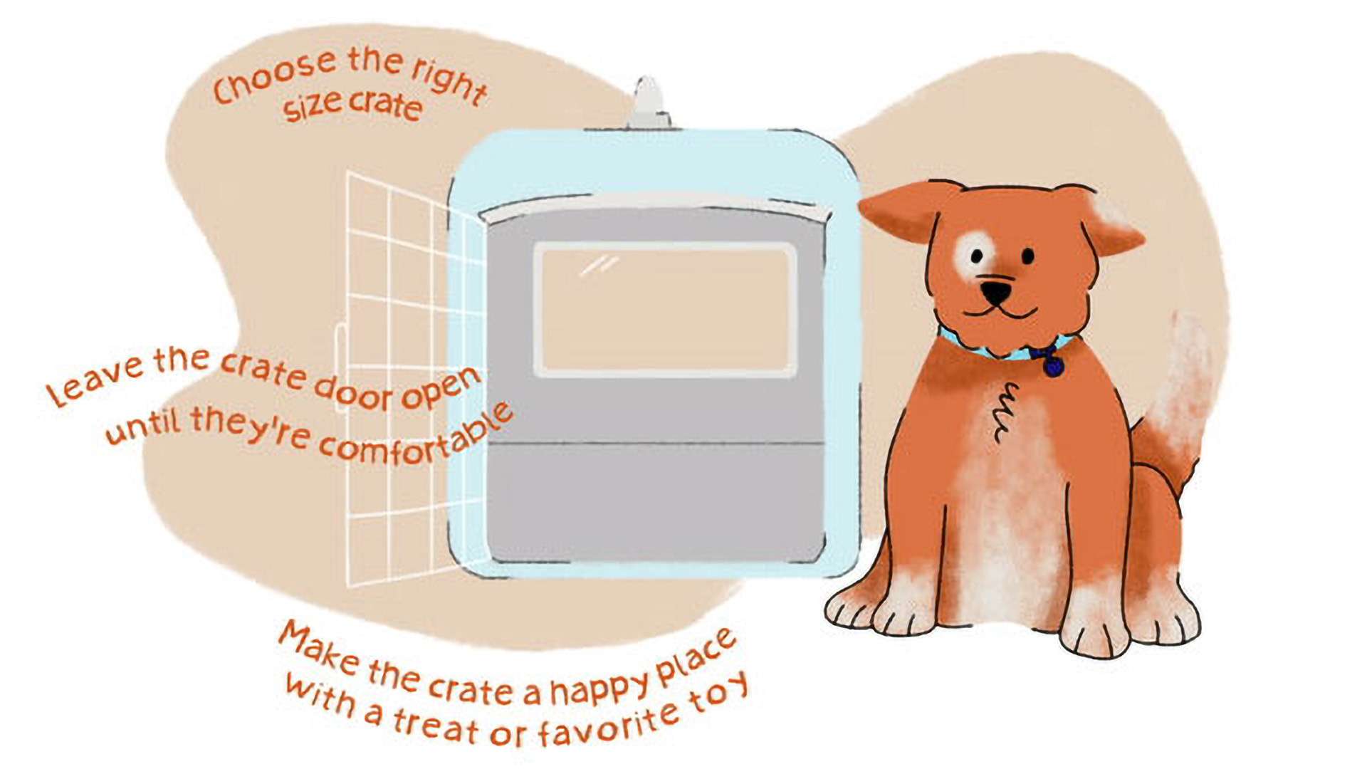 Veterinarians and quality petcare | Banfield Pet Hospital®