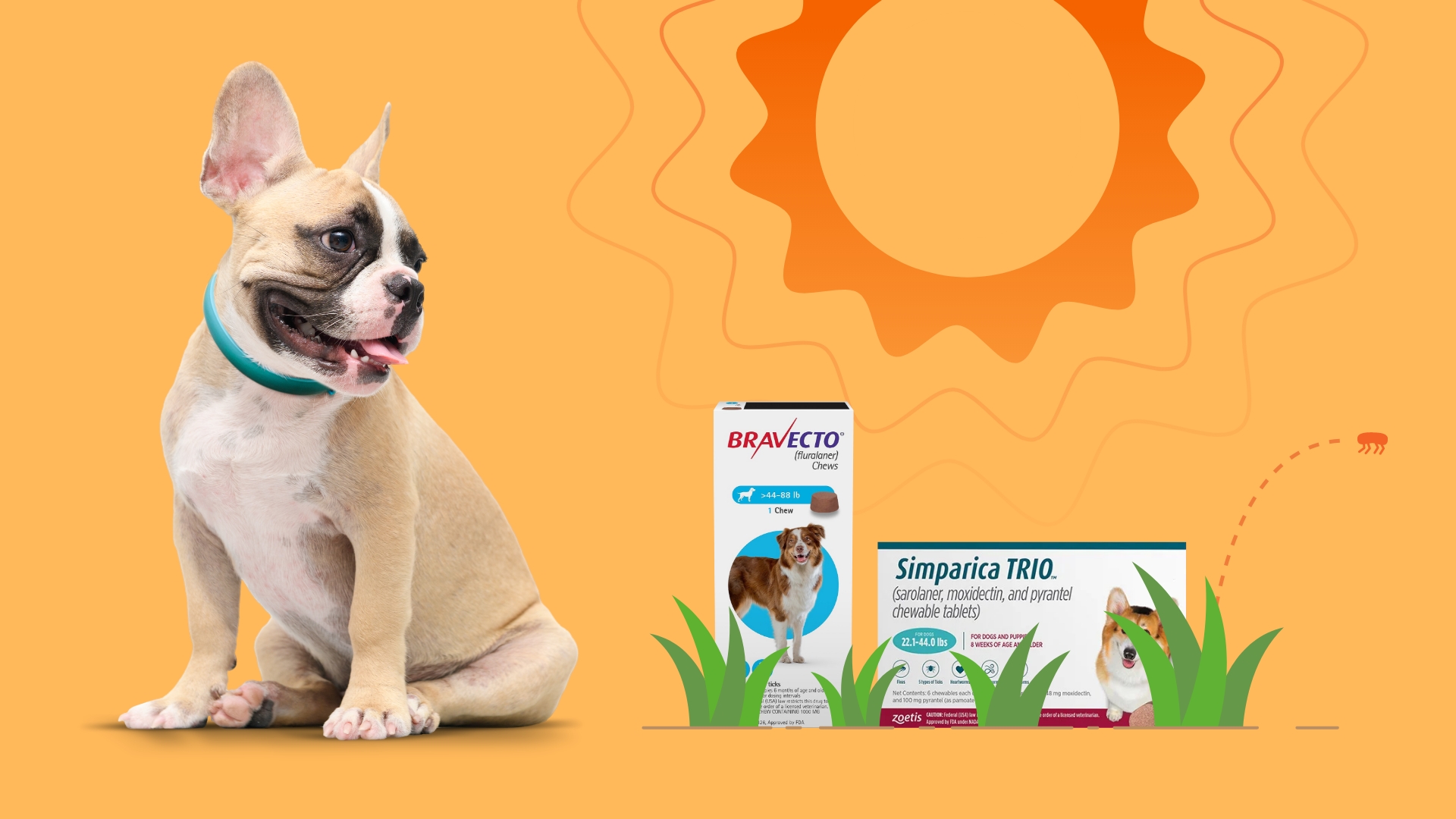 Veterinarians and quality petcare | Banfield Pet Hospital®