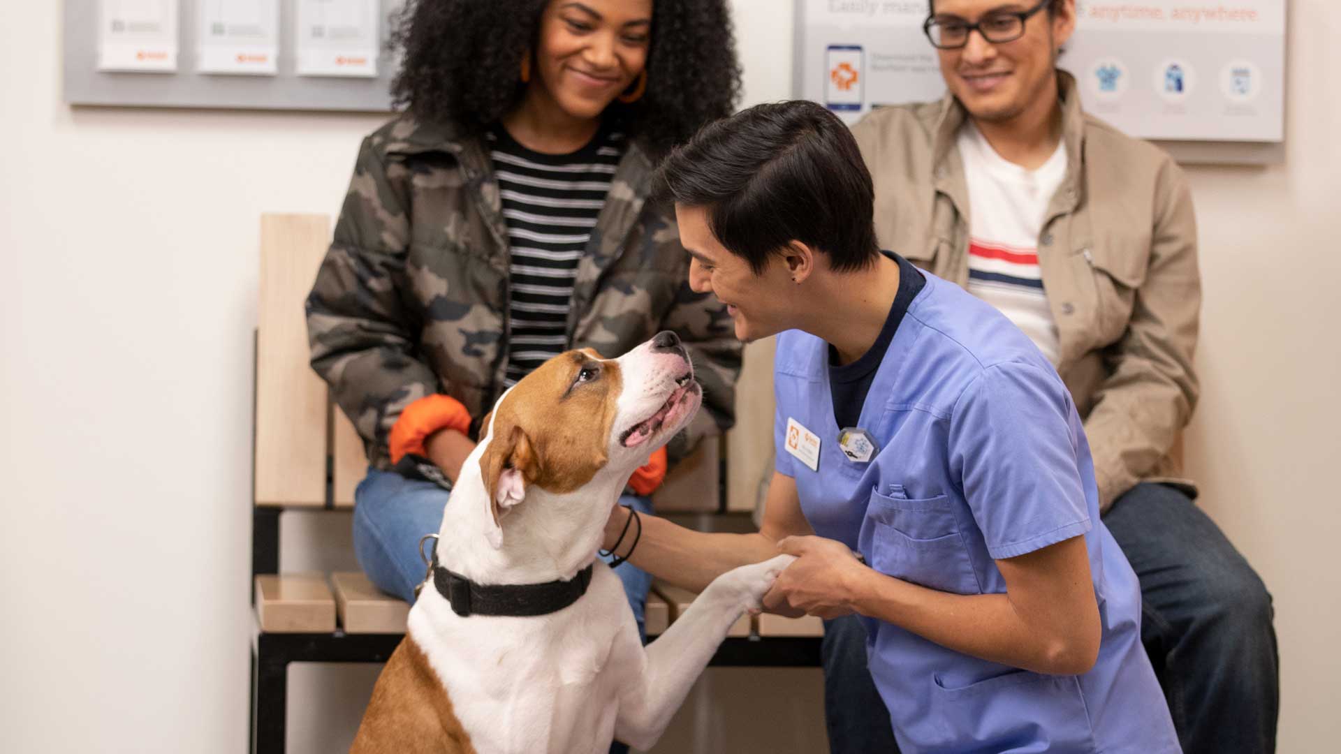 Veterinarians and quality petcare | Banfield Pet Hospital®