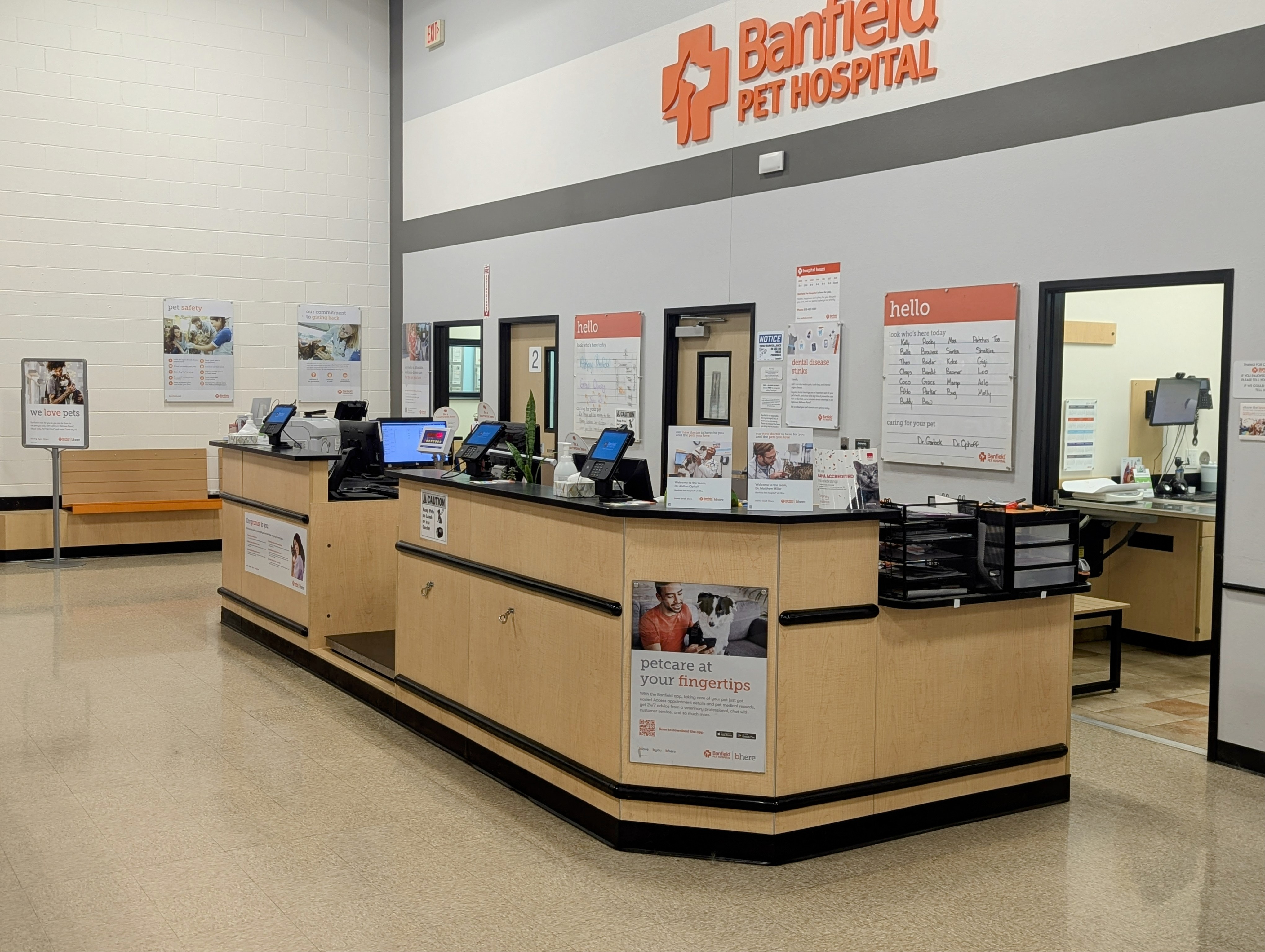 Veterinarian in Clive, IA | Find a Vet Near Me at Banfield Pet Hospital ...