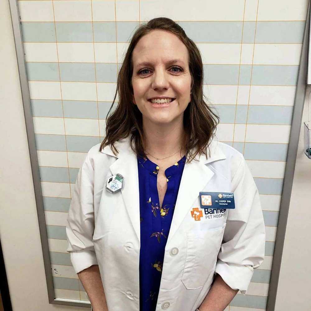 Murrieta – Veterinarians in Murrieta, CA | Banfield Pet Hospital®