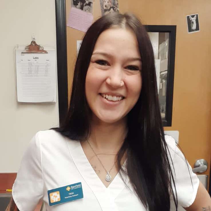 Vets in Jacksonville, FL - Oakleaf | Banfield Pet Hospital