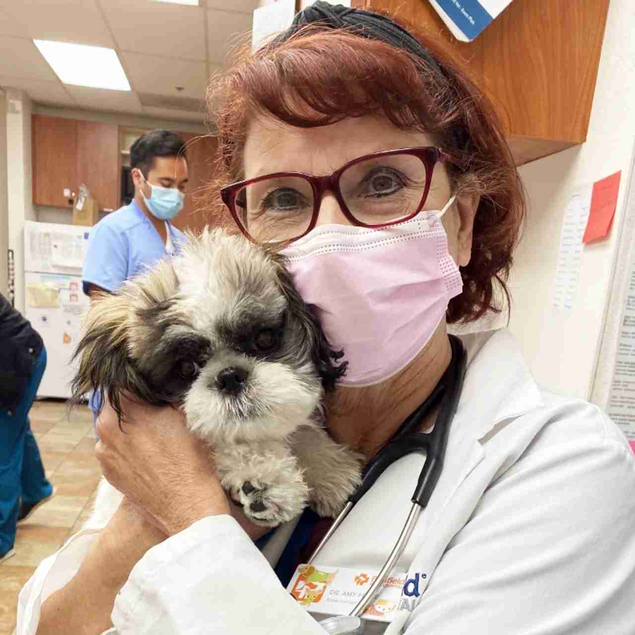 Vets in San Diego, CA - Midway | Banfield Pet Hospital