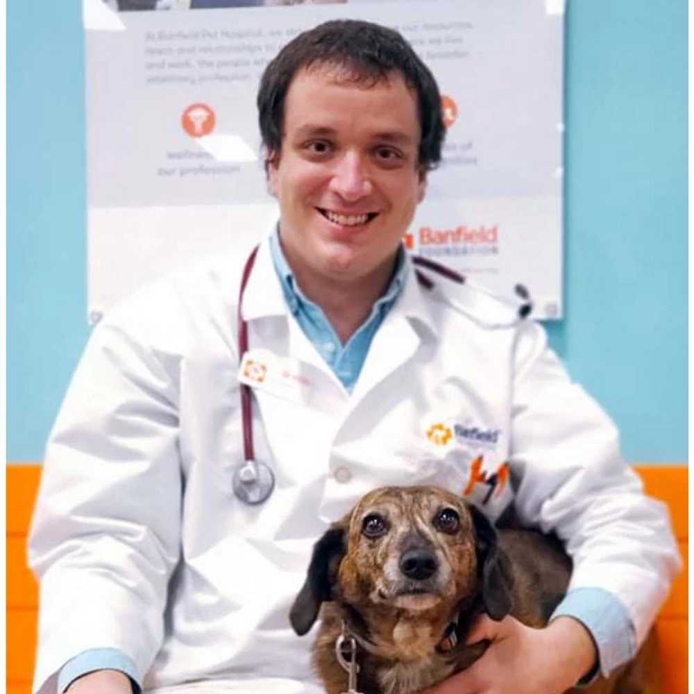 Veterinarians in Springfield, VA | Banfield Pet Hospital