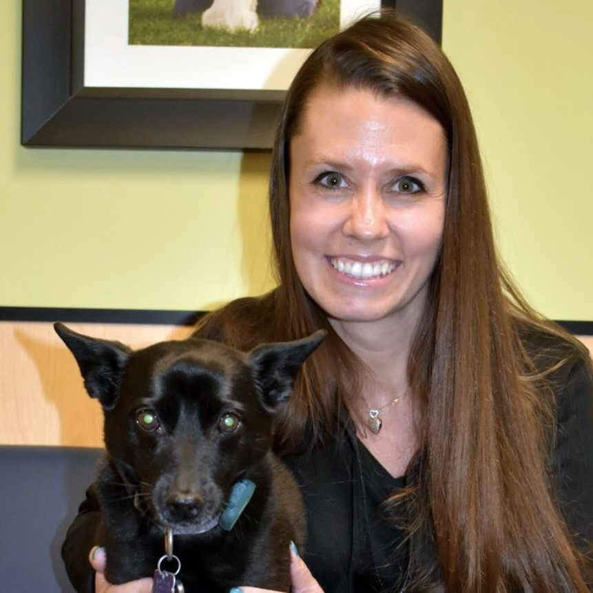 Veterinarians in Westerville, OH | Banfield Pet Hospital