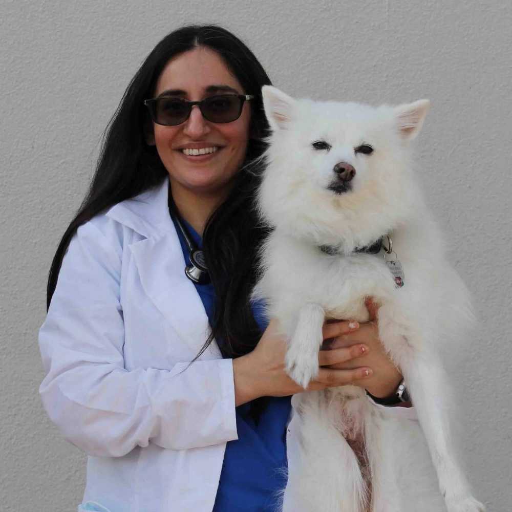 Vets in Altamonte Springs, FL | Banfield Pet Hospital