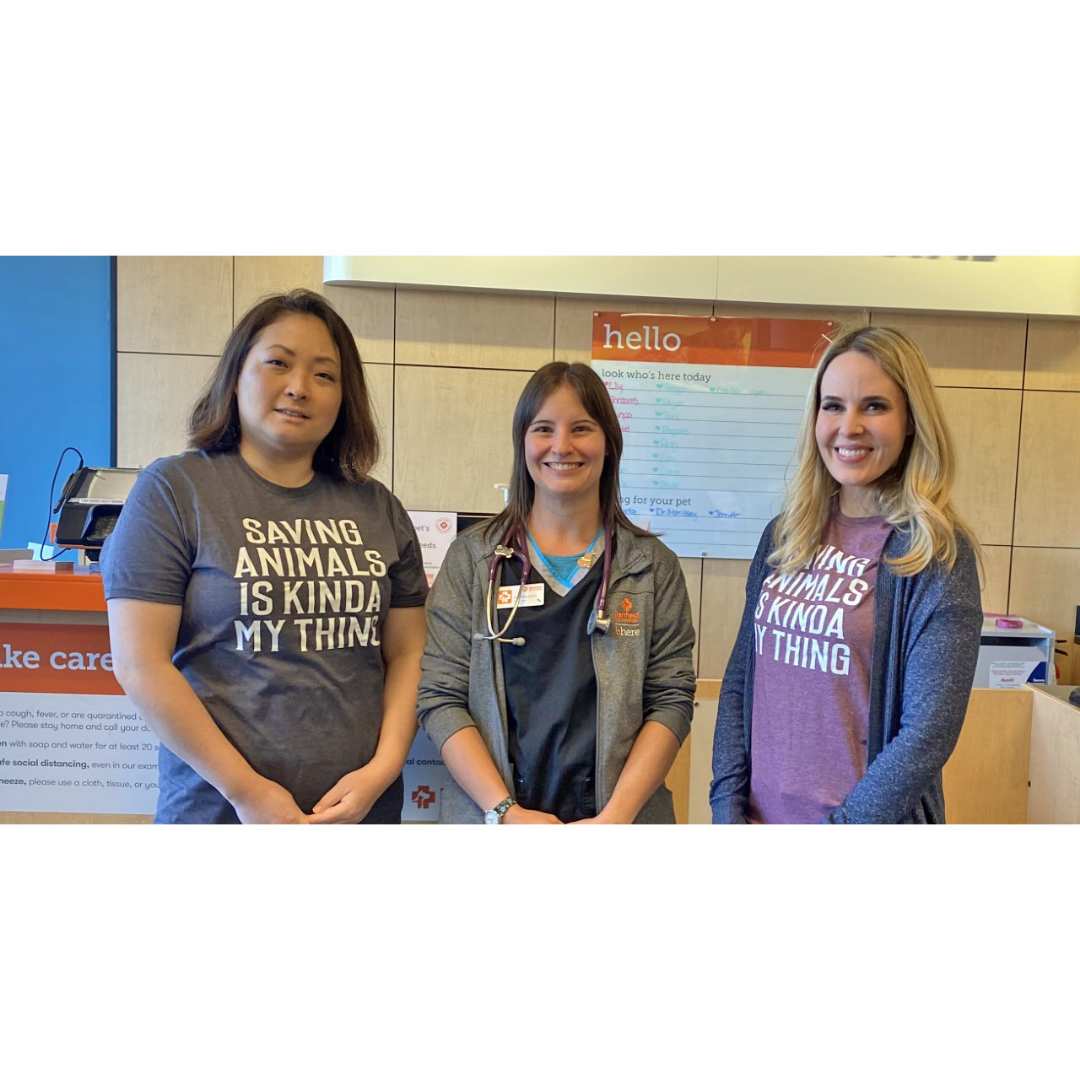 Vets in St Paul, MN - Highland Park | Banfield Pet Hospital