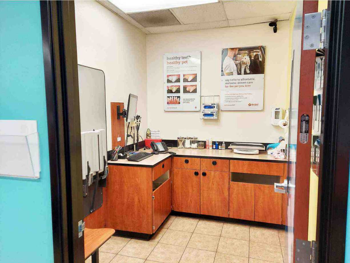 Waite Park – Veterinarians in Waite Park, MN | Banfield Pet Hospital®