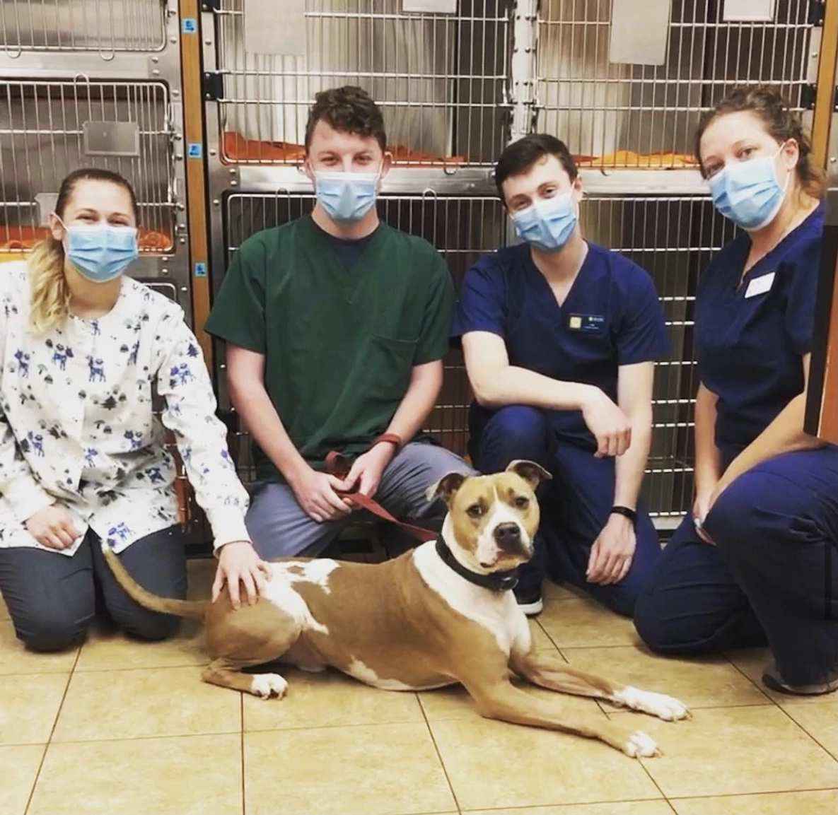 Veterinarians in Roanoke, VA | Banfield Pet Hospital